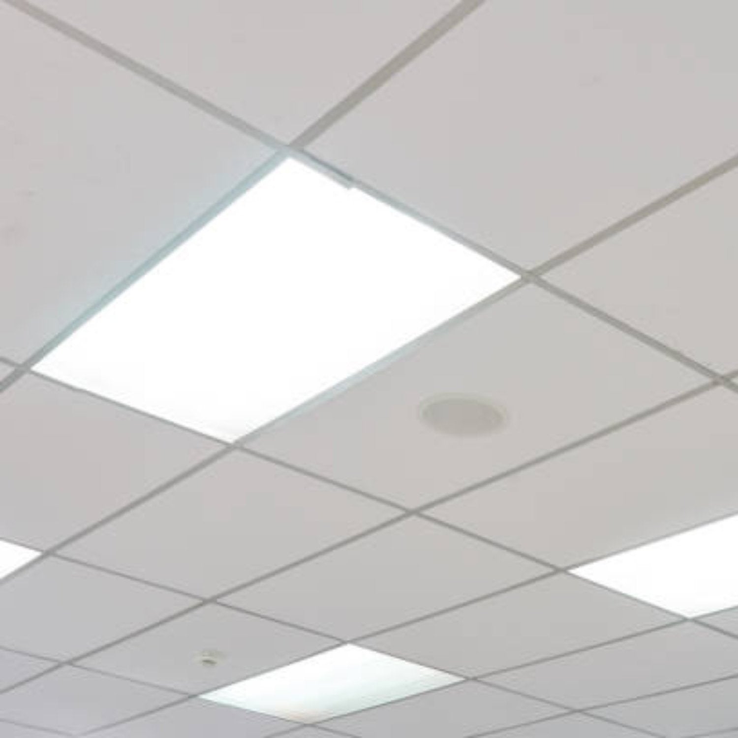 LED Flat Panels & Troffers | Office & Commercial Ceiling Lighting ...